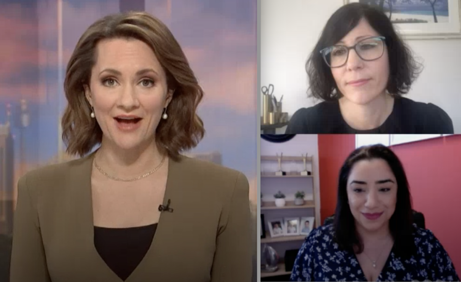 ABC News Feature - Spectrum Support